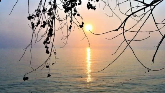 Finding an Exit | Alexandra Vasiliu - Bestselling author of Healing Words