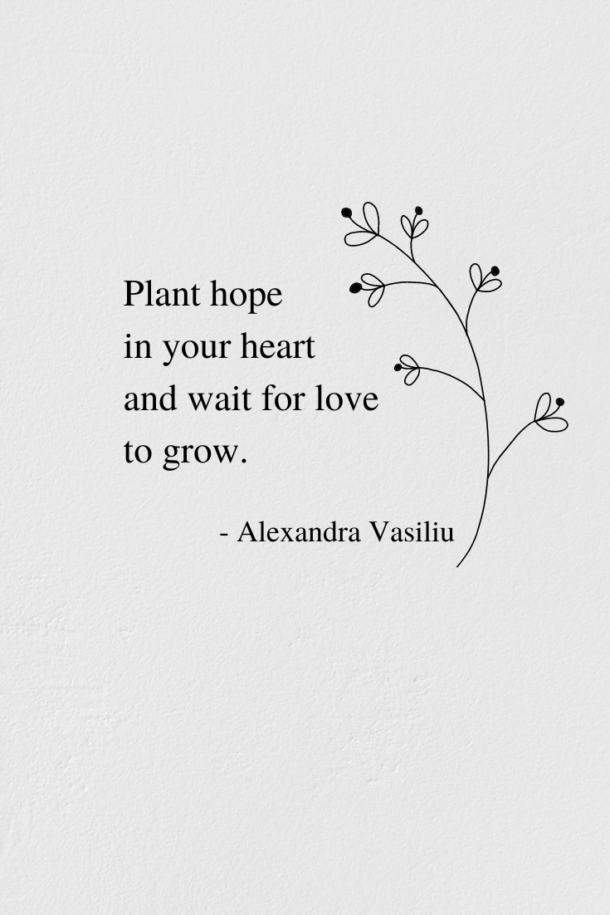 Let Love Grow In Your Heart | Alexandra Vasiliu - Bestselling author of ...